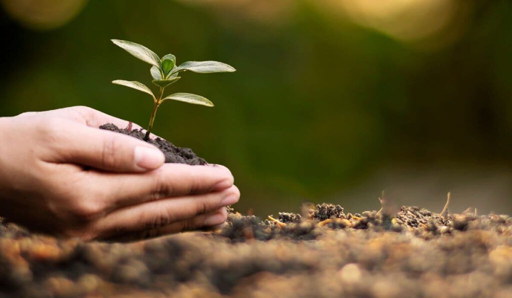 Natur & Umwelt: Spannende Kinderseiten für Umweltschützer